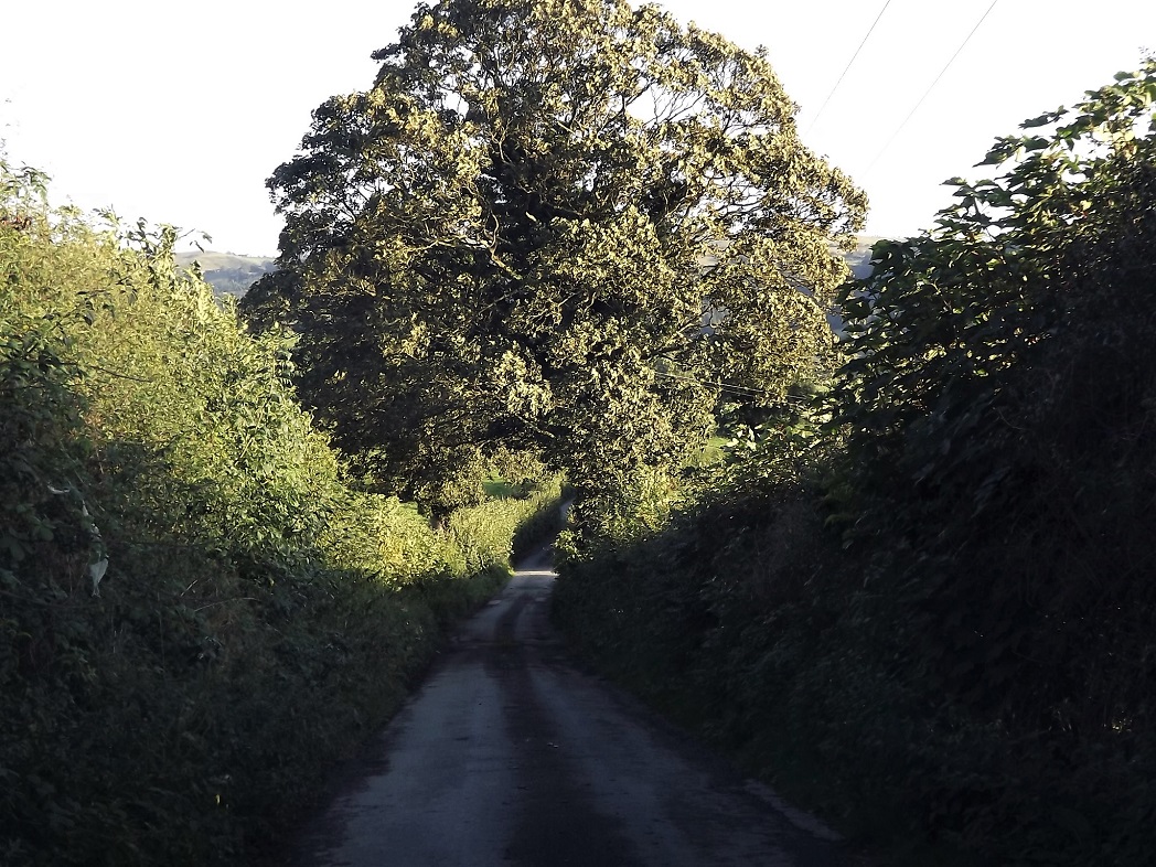 The Road Home – vallilloyd.com